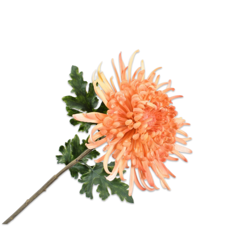 Silk-ka Flowers - Zijden bloem - Chrysant steel - Oranje | Oogenlust Silk-ka Flowers - Zijden bloem - Chrysant steel - Oranje | Oogenlust